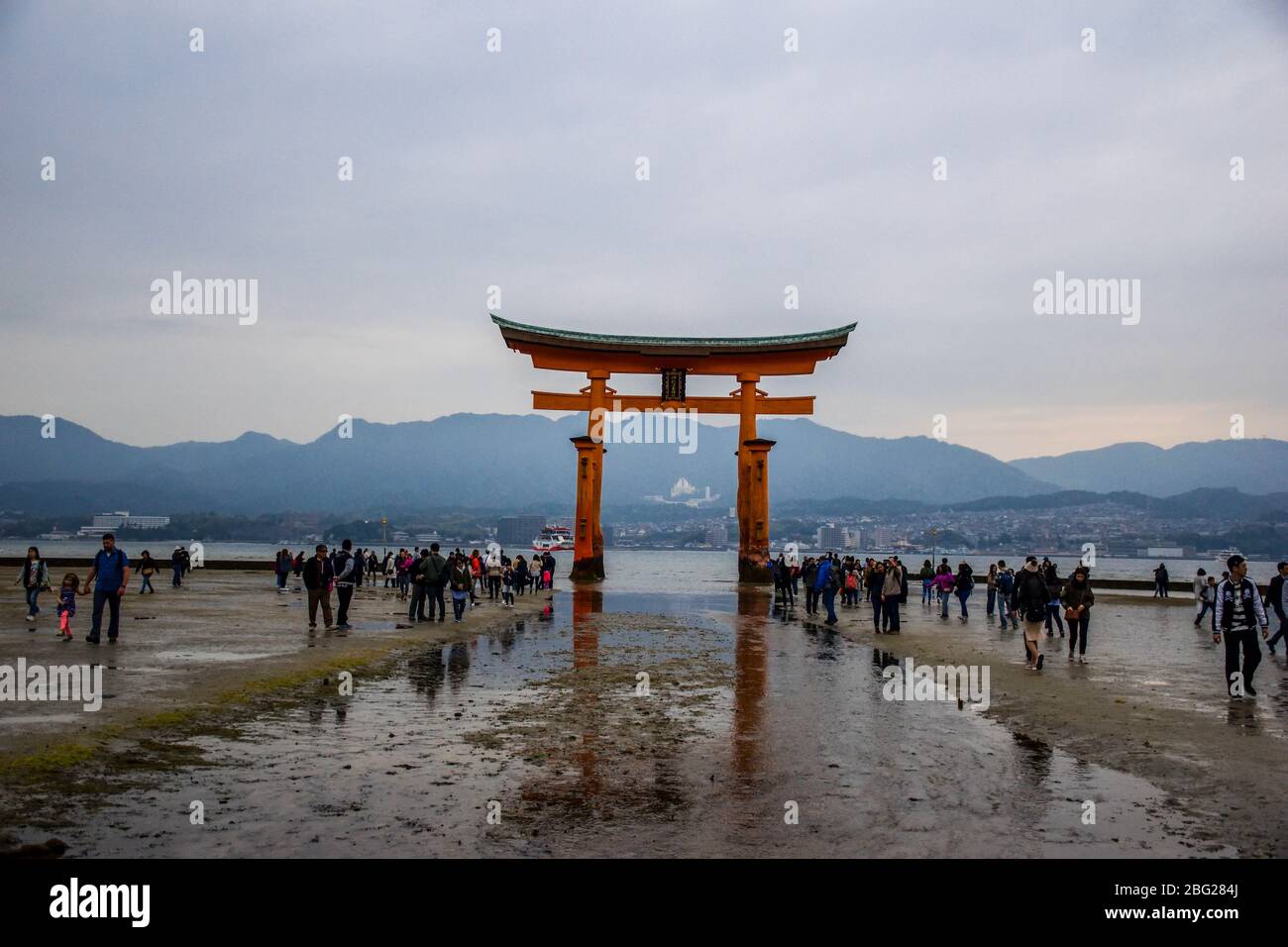 Floating red gate shrine in Miyjajima in Hiroshima prefecture in Japan ...