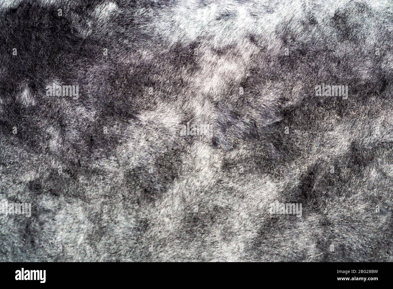 Grey wool texture background hi-res stock photography and images - Alamy