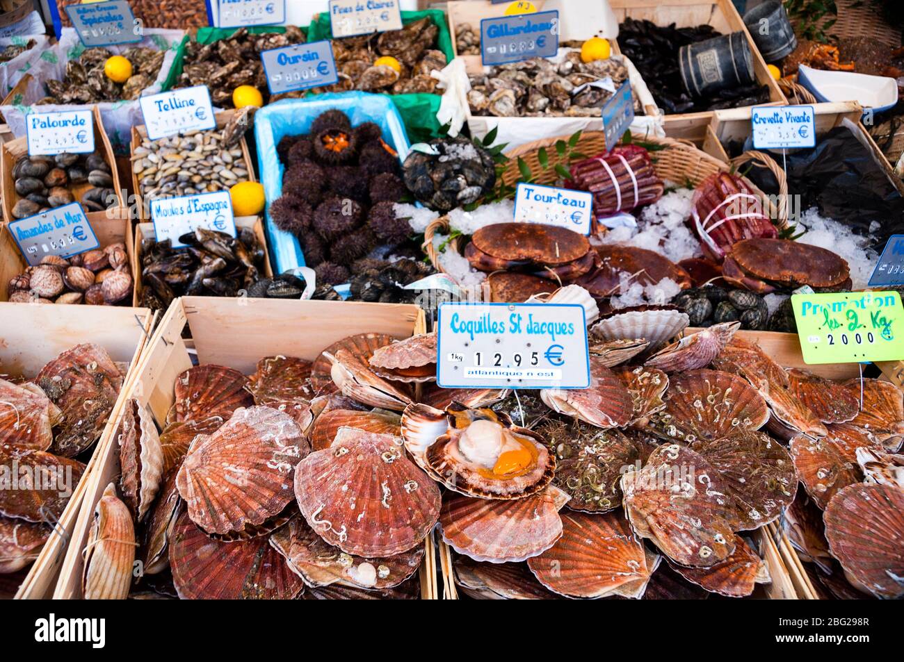 St jacques cockle hi-res stock photography and images - Alamy