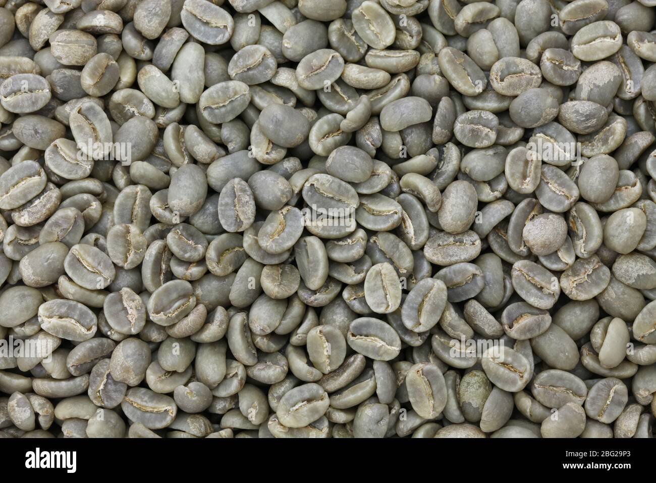 green unroasted coffee beans Stock Photo - Alamy