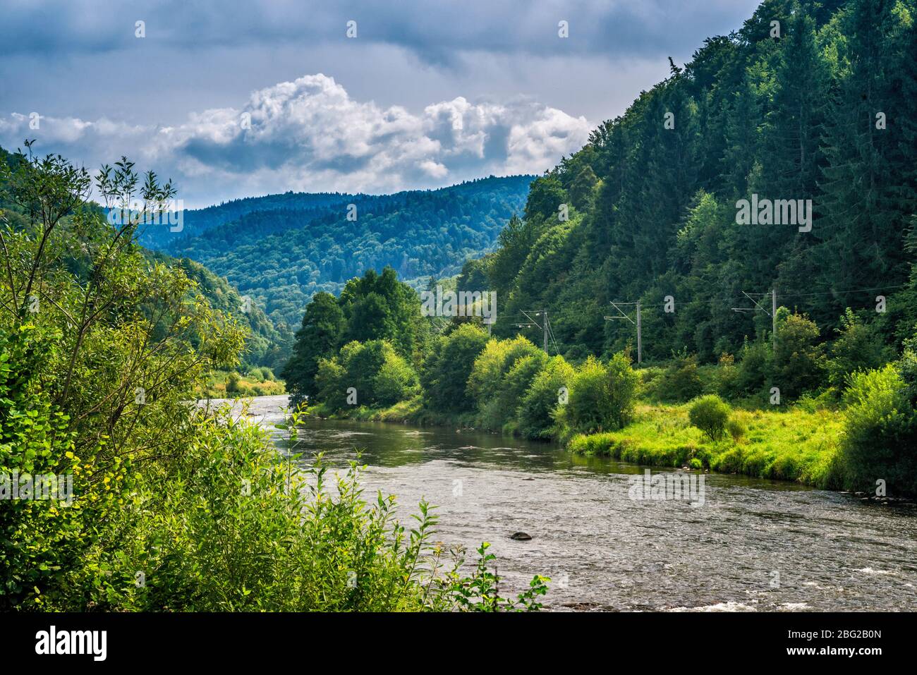 Mures River Valley in Eastern Carpathians, near village of Rastolita ...