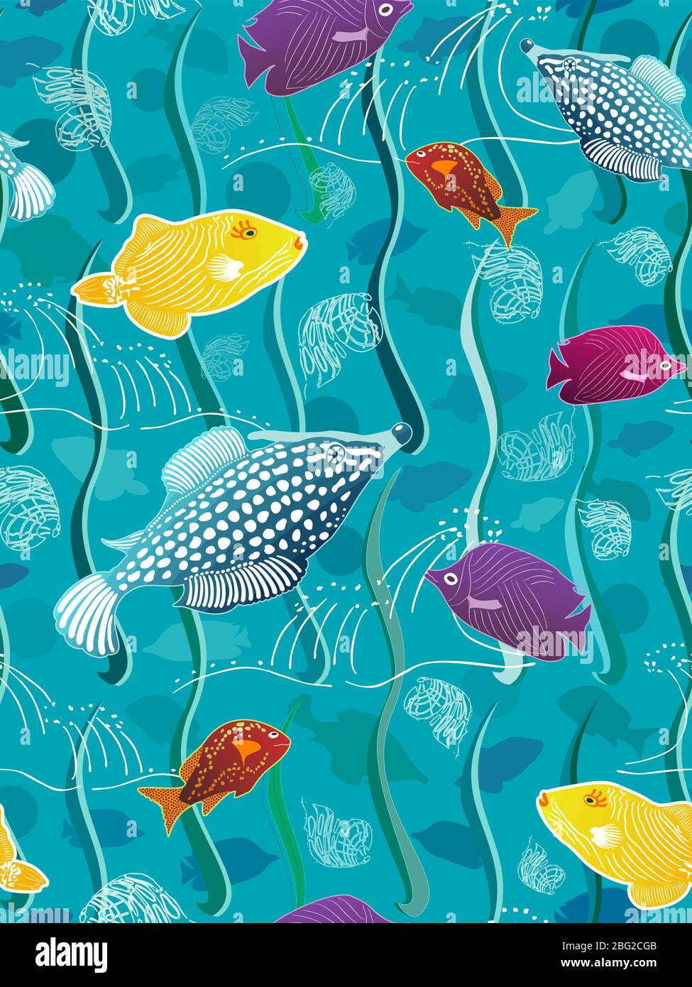 Colourful School Of Fish