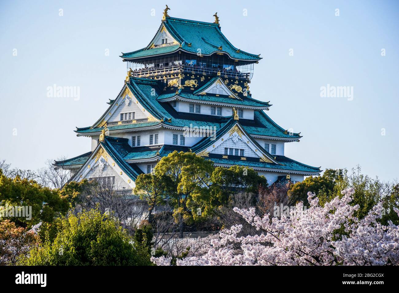 Majestic blue roof Osaka castle with rich decoration,Japan Stock Photo ...