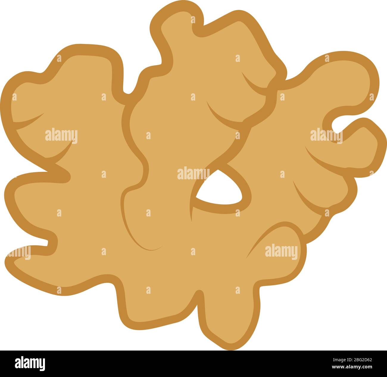 Ginger, illustration, vector on white background Stock Vector Image ...