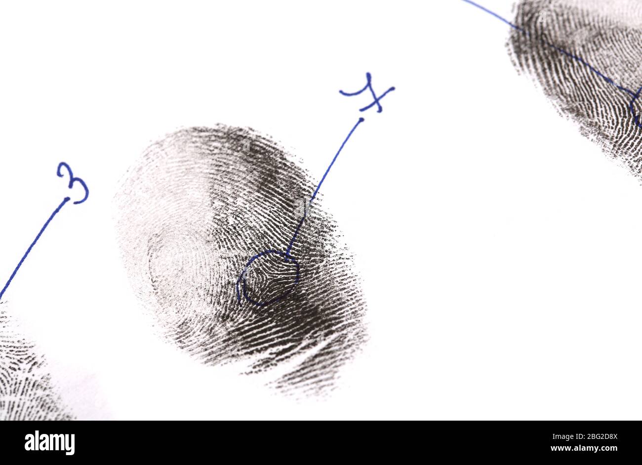 Fingerprints close-up isolated on white Stock Photo - Alamy