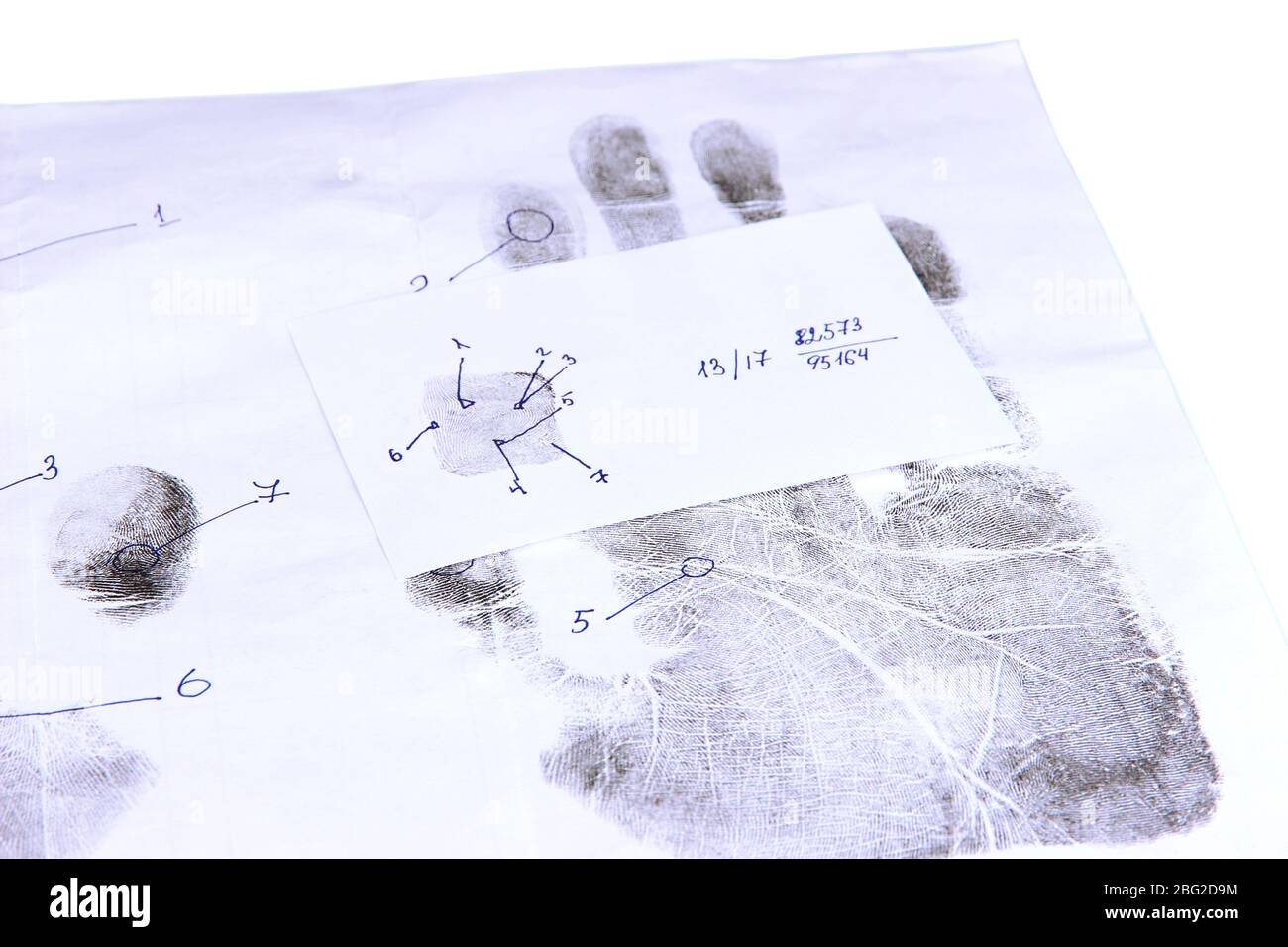 Fingerprints close-up isolated on white Stock Photo - Alamy