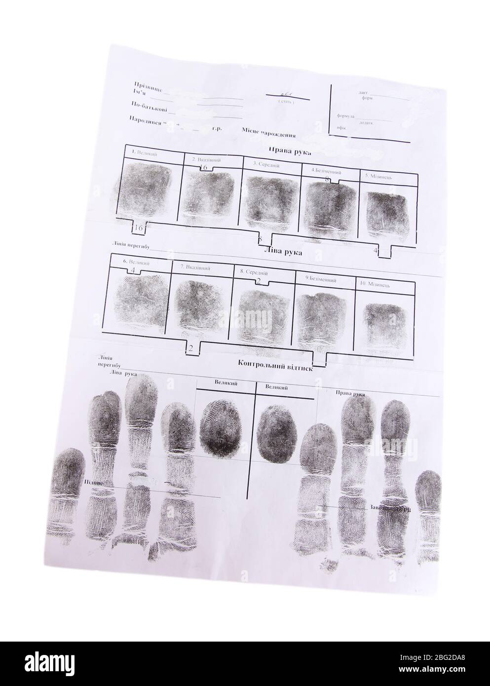 Fingerprints close-up isolated on white Stock Photo - Alamy