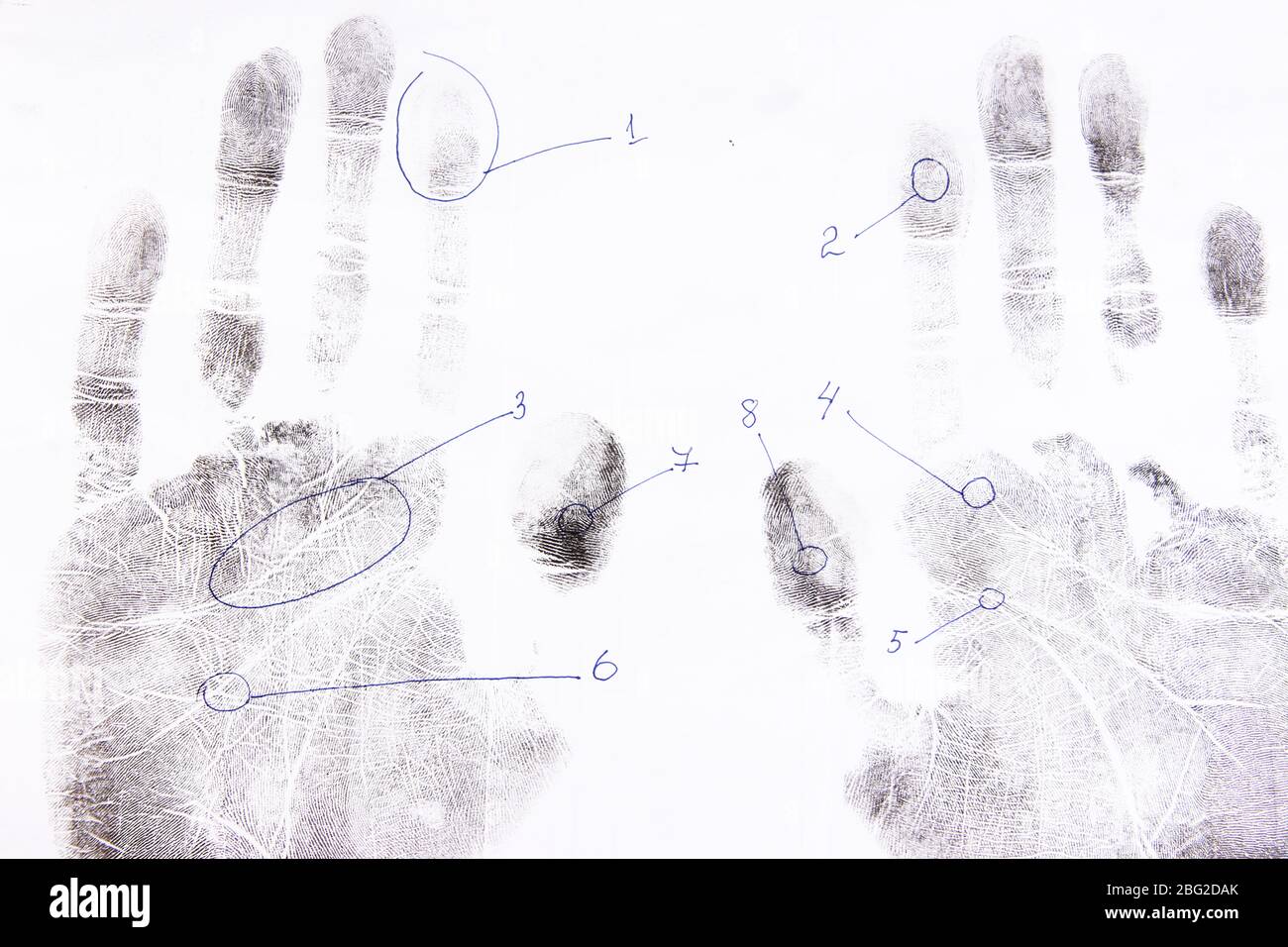 Fingerprints close-up isolated on white Stock Photo - Alamy
