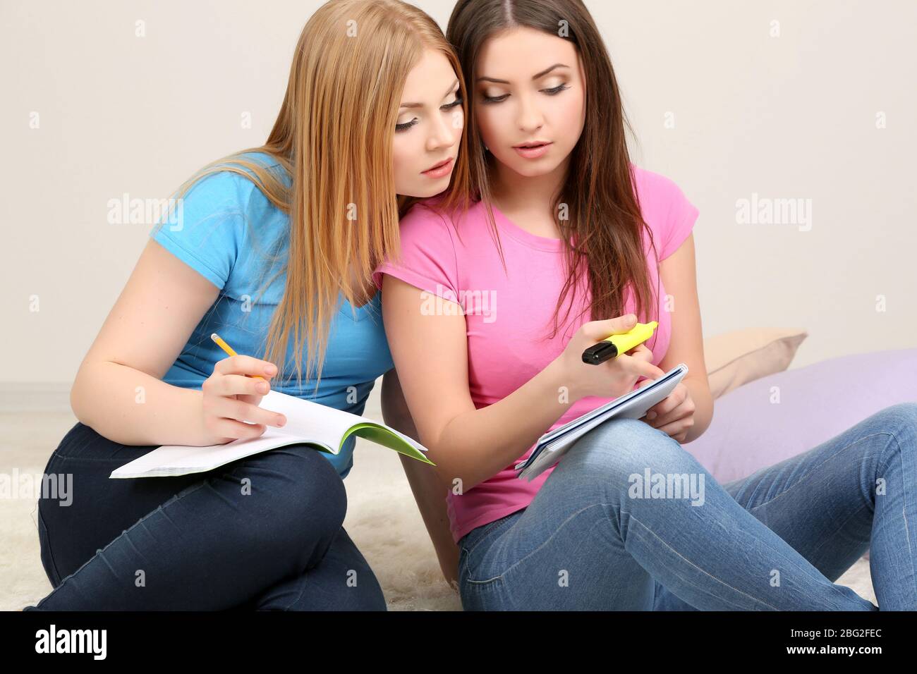 Two girl friends study on room Stock Photo - Alamy