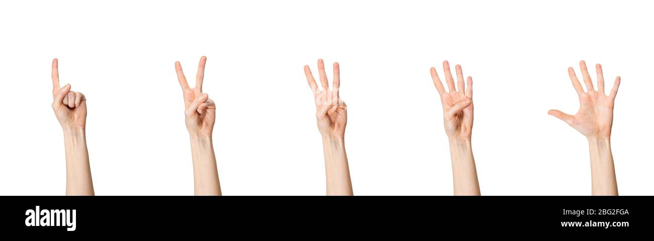 Female hands counting from one to five isolated on white background ...