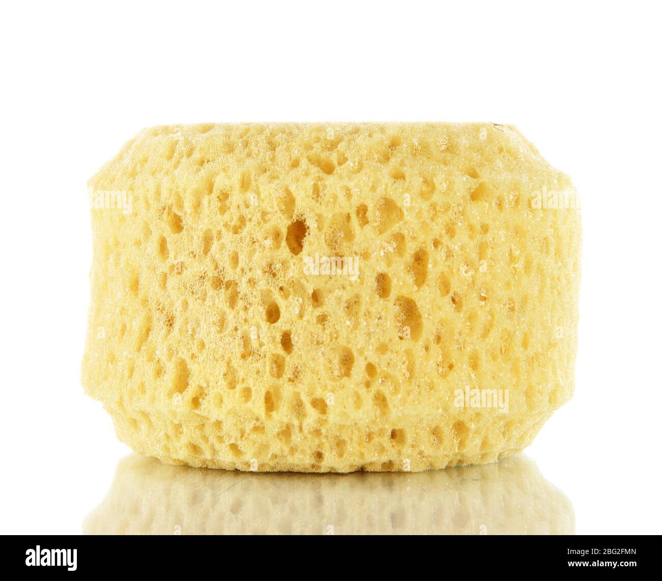 Sponges and sea sponge isolated on white Stock Photo - Alamy