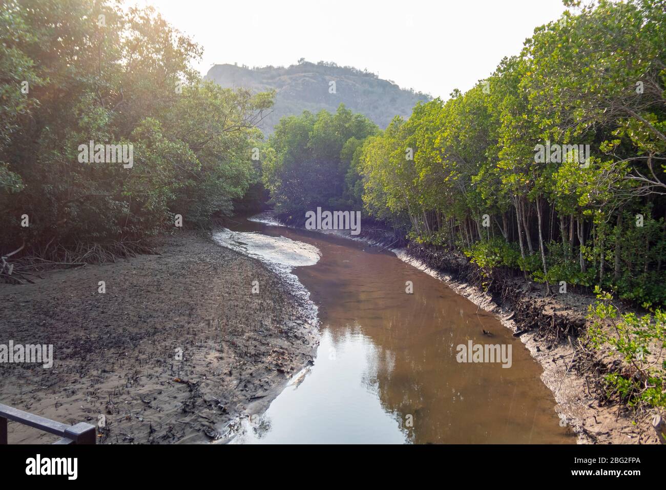 The river in Pranburi mangrove forest park which is in the south of ...
