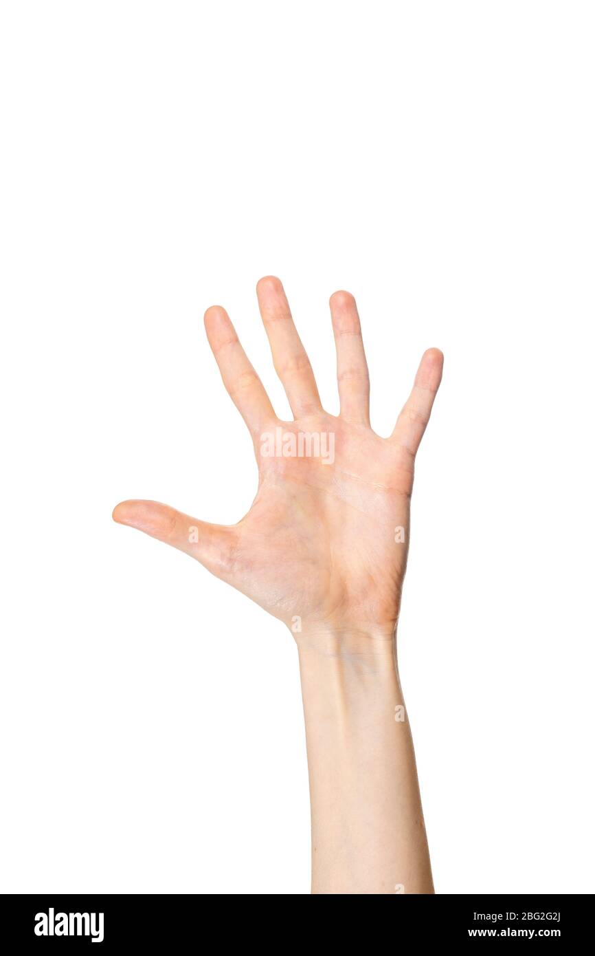 Female hand out palm facing hi-res stock photography and images - Alamy Female hand out palm facing hi-res stock photography and images - Alamy