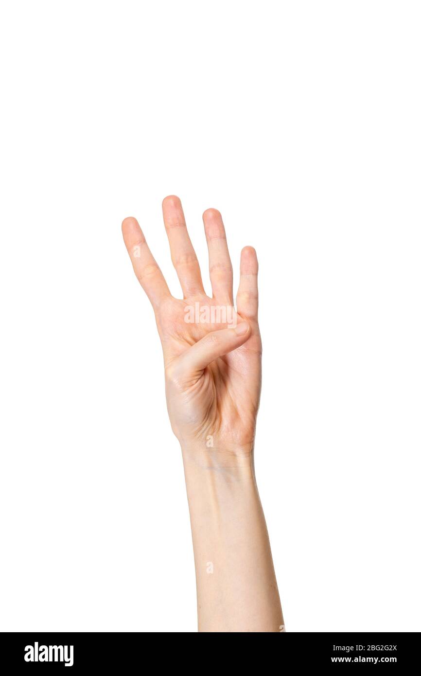 Young Caucasian female left hand, palm facing camera showing number 4 ...