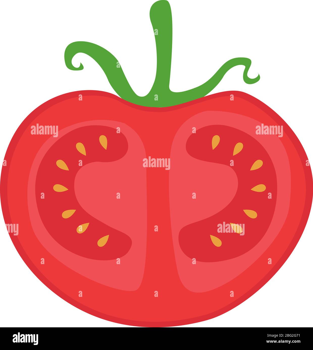 Tomato half isolated on Stock Vector Images - Alamy