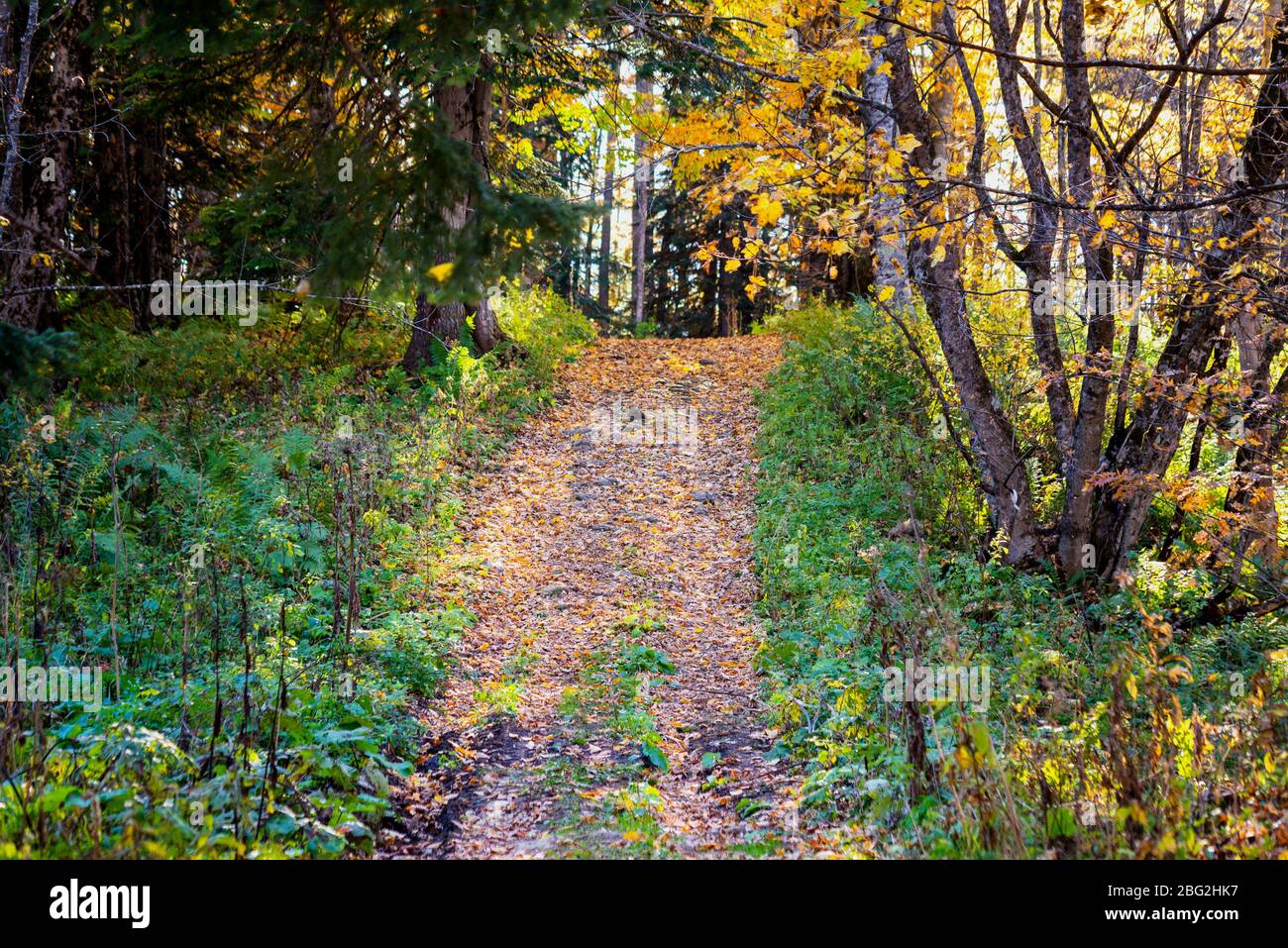 Winding pathway curves through hi-res stock photography and images - Alamy