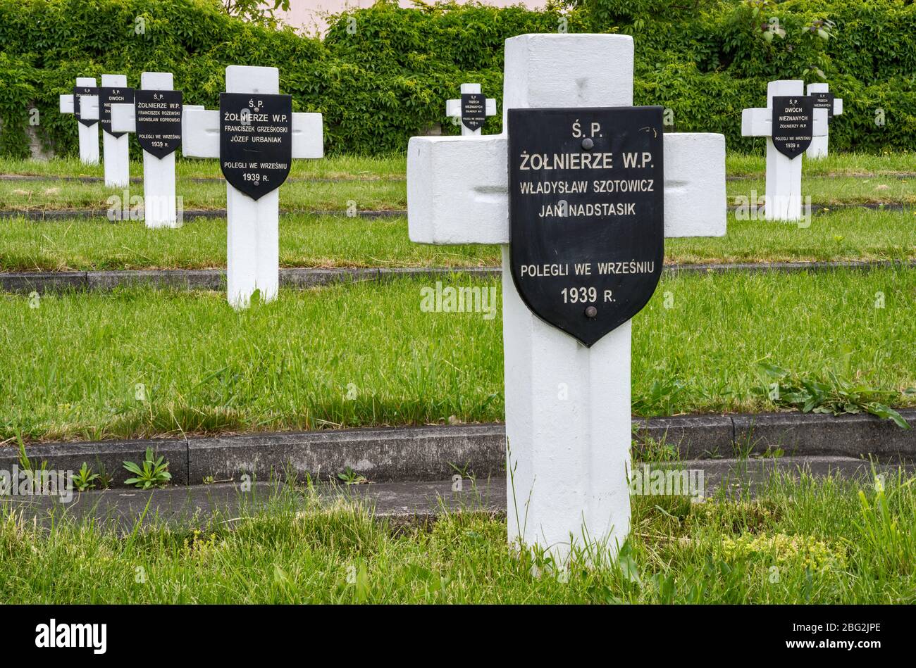 Graves at cemetery of 4000 Polish soldiers killed in WW2 Battle of ...