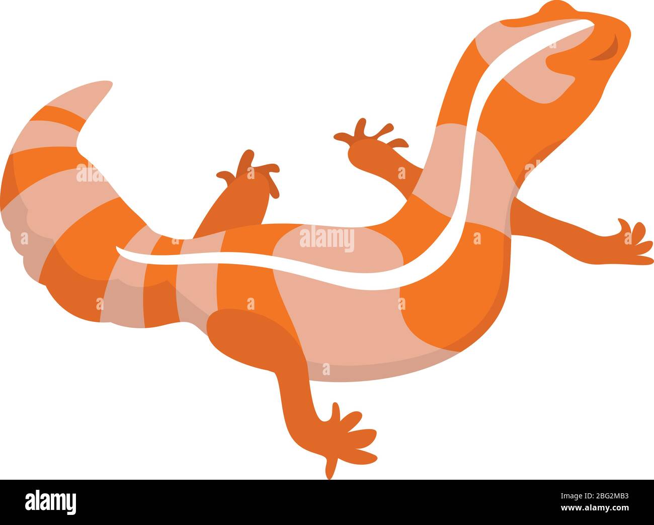 Orange Lizard Illustration Vector On White Background Stock Vector