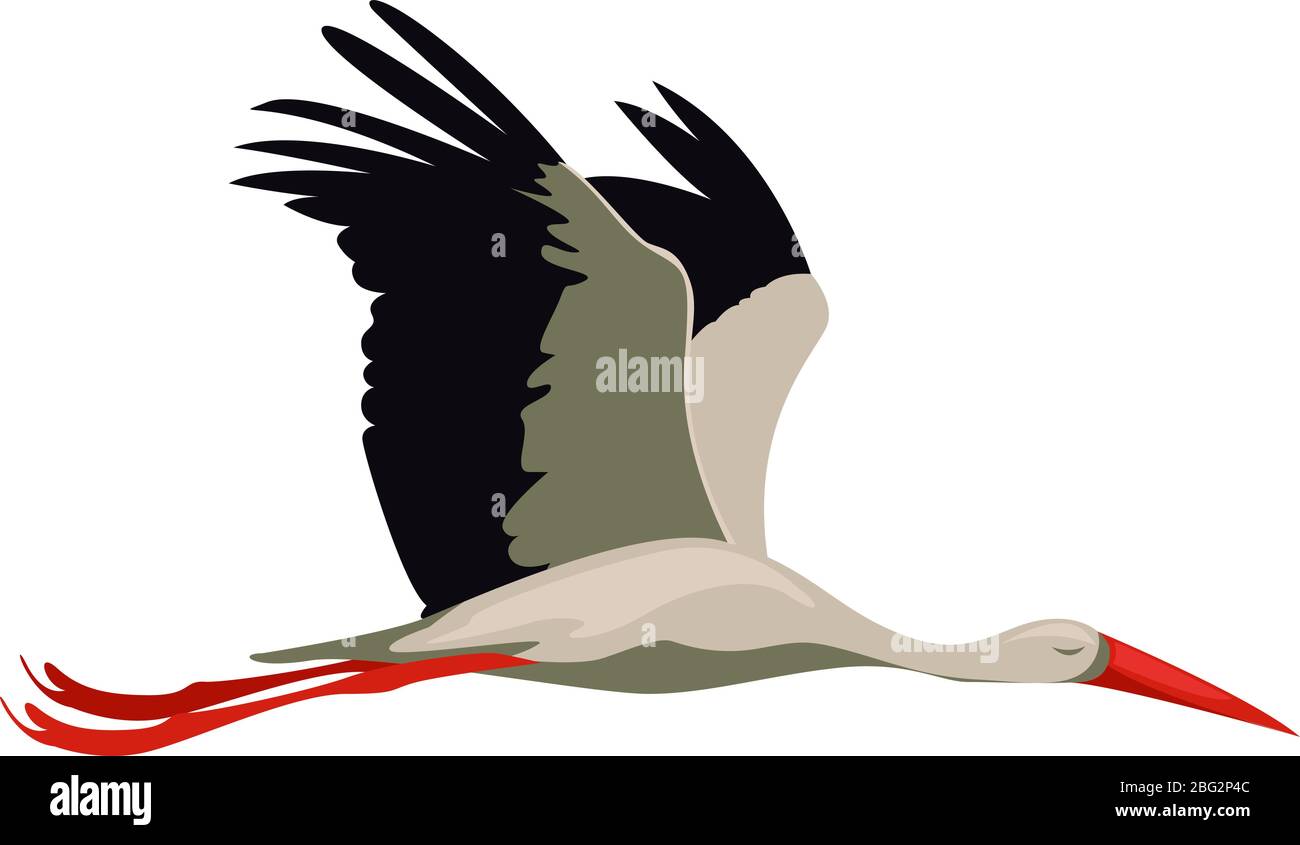 Flying stork, illustration, vector on white background Stock Vector ...
