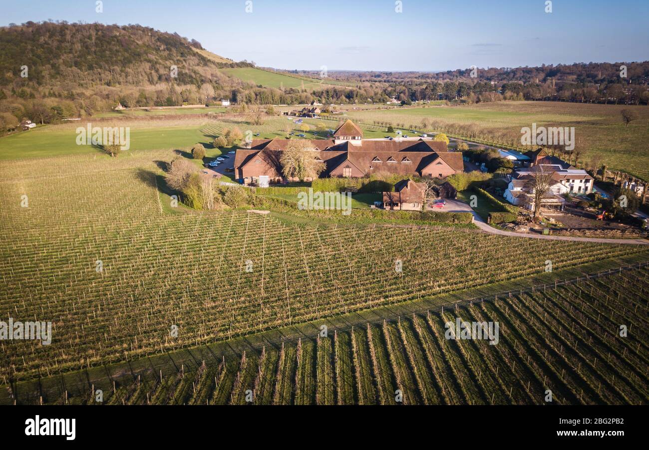 English vineyard historic hi-res stock photography and images - Alamy