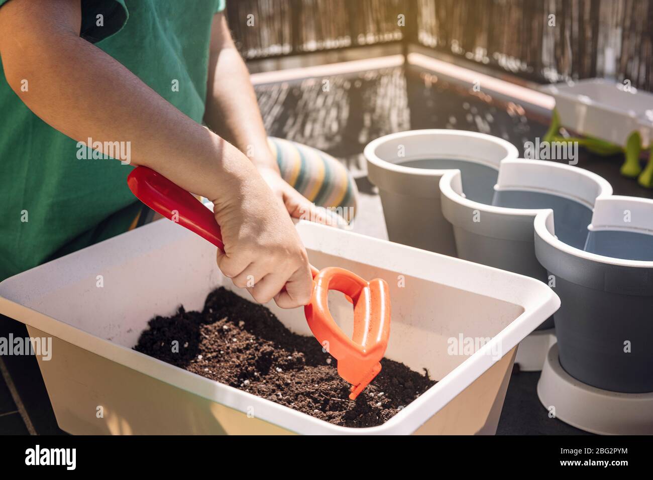 detail of a child hands preparing the soil before putting it in pots ...