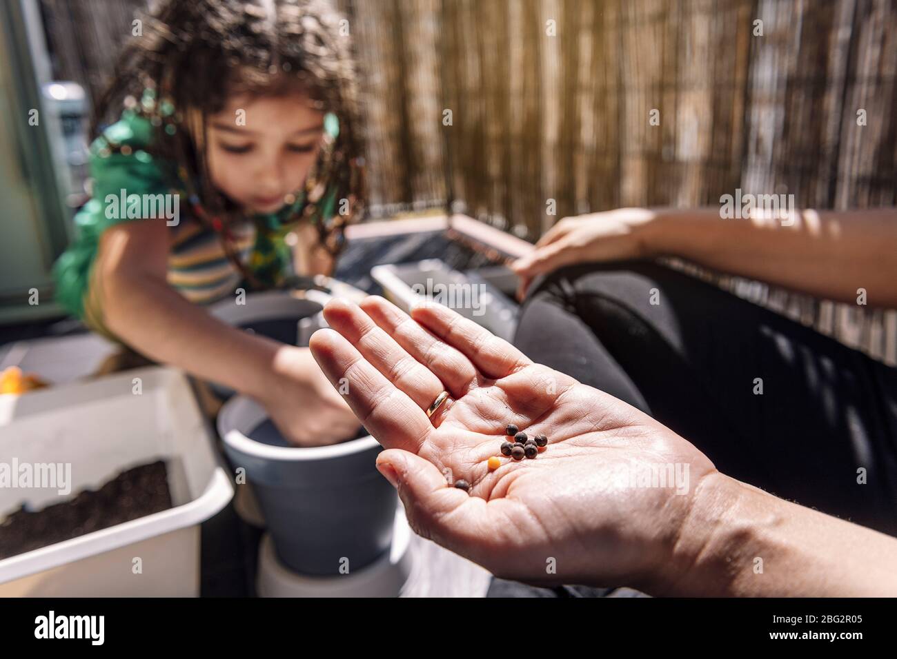 Child parent planting seeds hi-res stock photography and images - Alamy