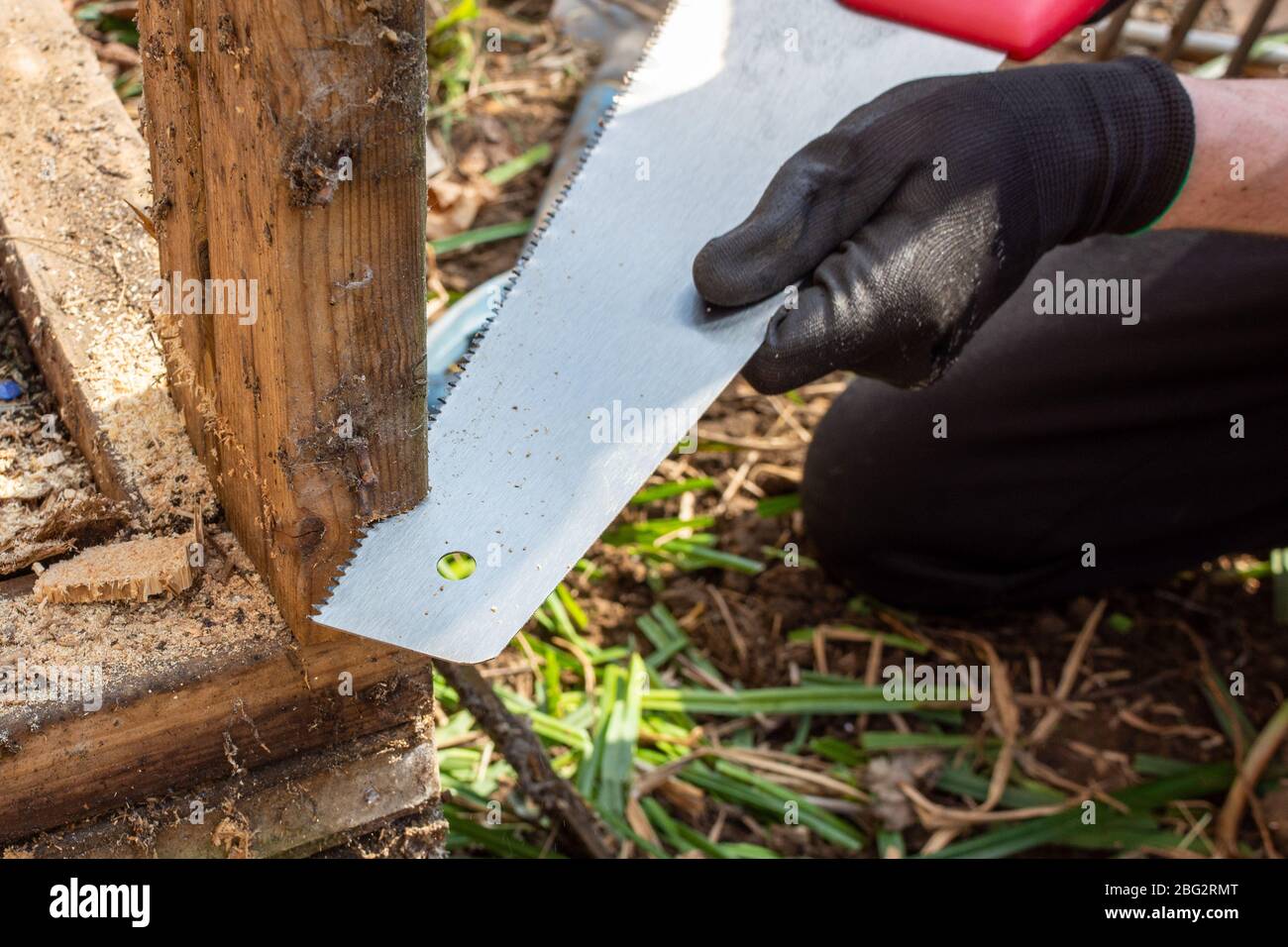 Person using manual handsaw cut hi-res stock photography and images - Alamy