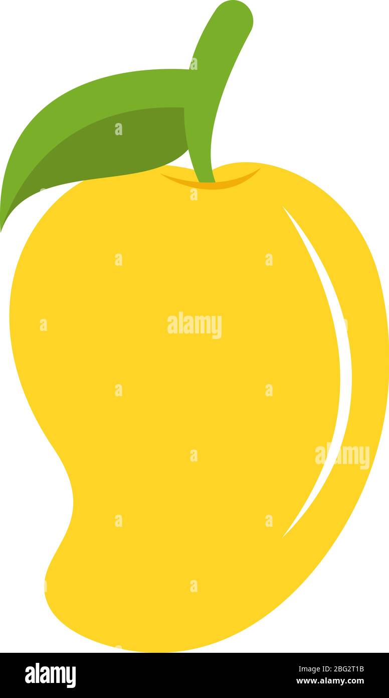 Small mango, illustration, vector on white background Stock Vector ...