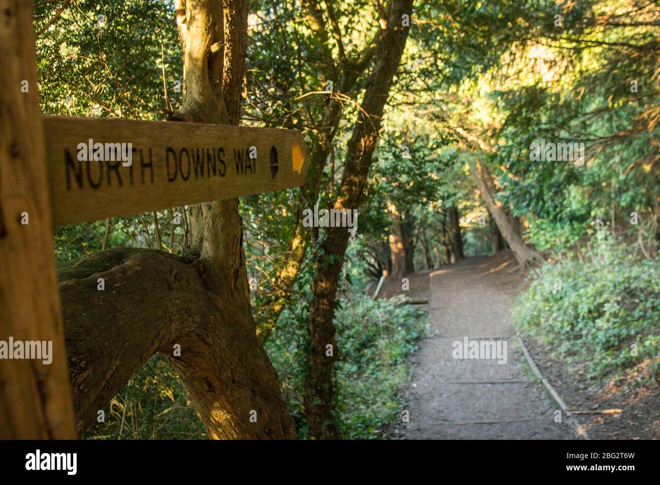 Country way hi-res stock photography and images - Alamy
