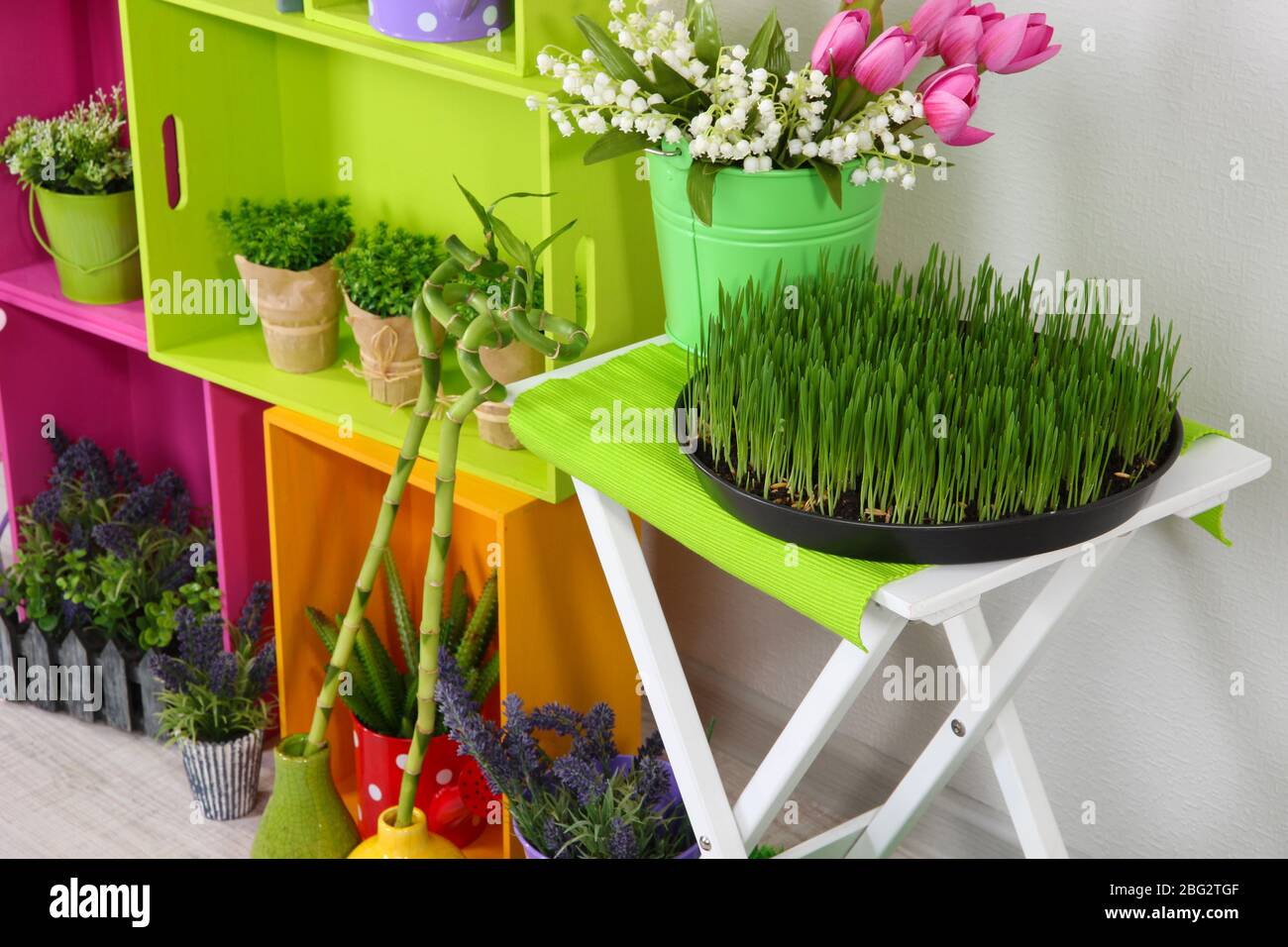 Colorful shelves and table with decorative elements and flowers Stock ...