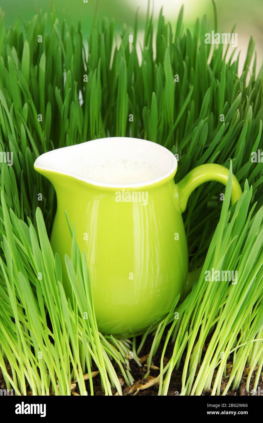Soil pitcher hi-res stock photography and images - Alamy