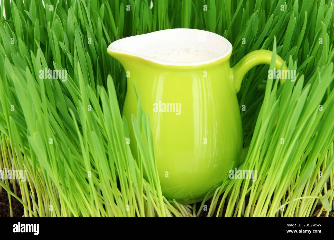 Soil pitcher hi-res stock photography and images - Alamy