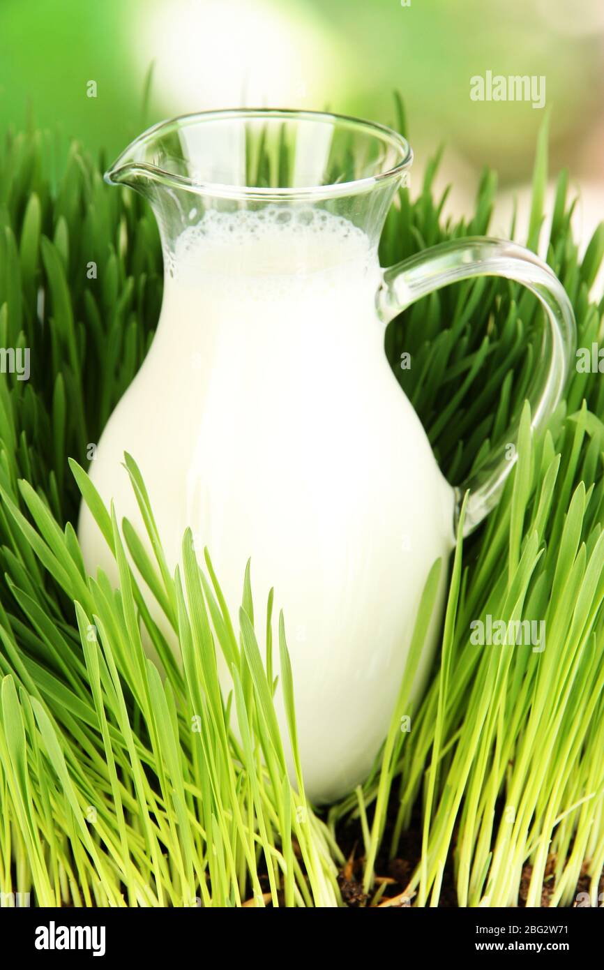 Glass pitcher of milk standing on grass close up Stock Photo - Alamy
