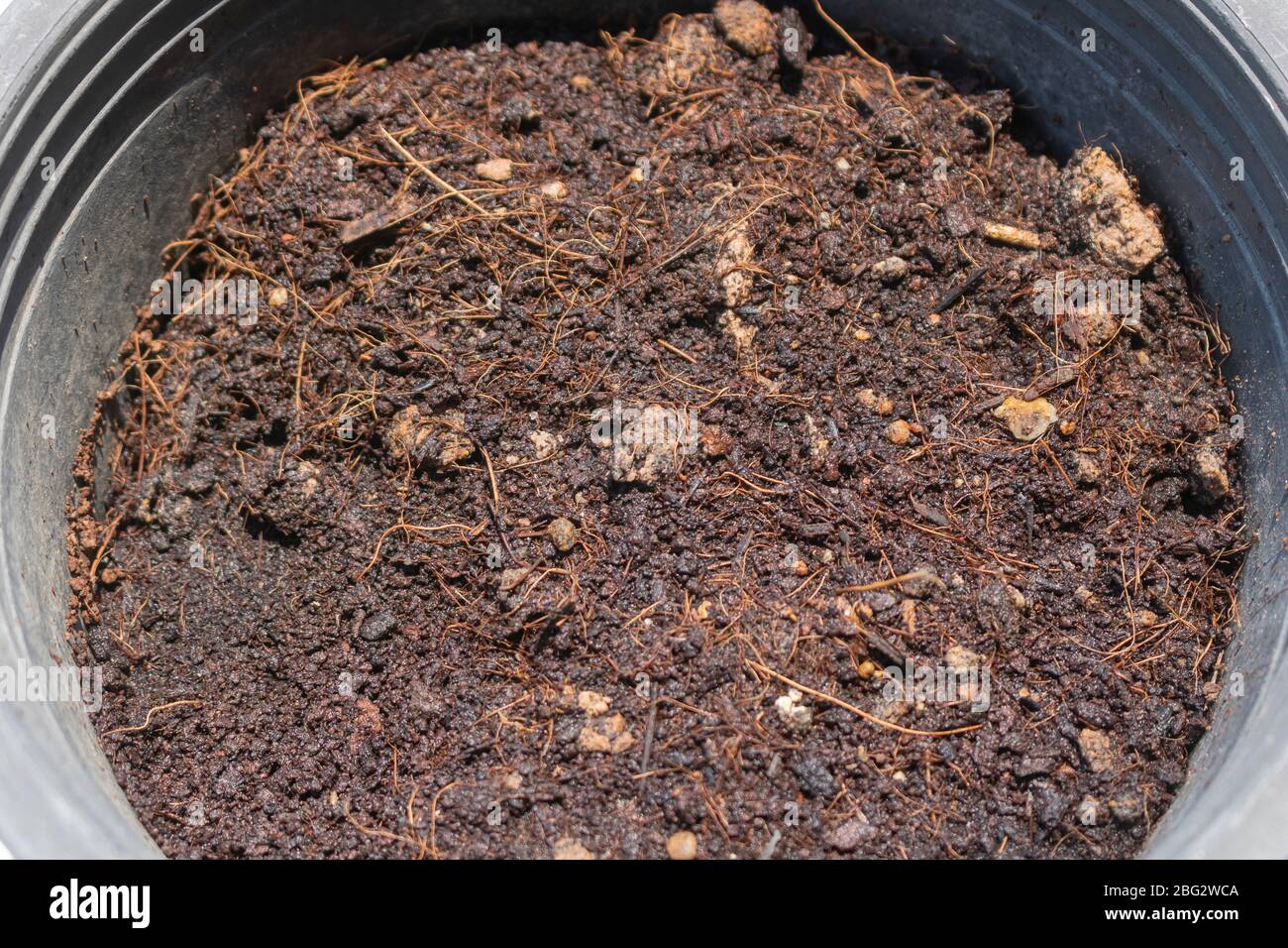Humus moist soil hi-res stock photography and images - Alamy