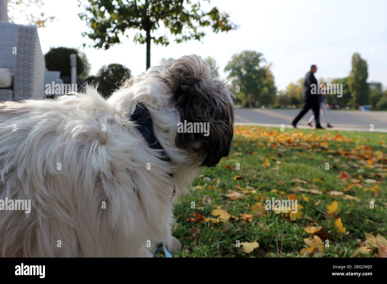 People Leaving Stock Photos & People Leaving Stock Images - Alamy