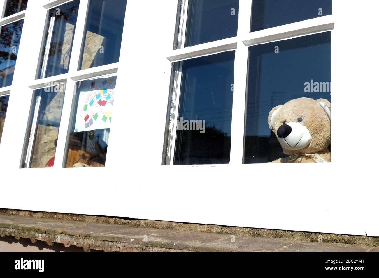 A friendly teddy bear in the window during lockdown Stock Photo - Alamy