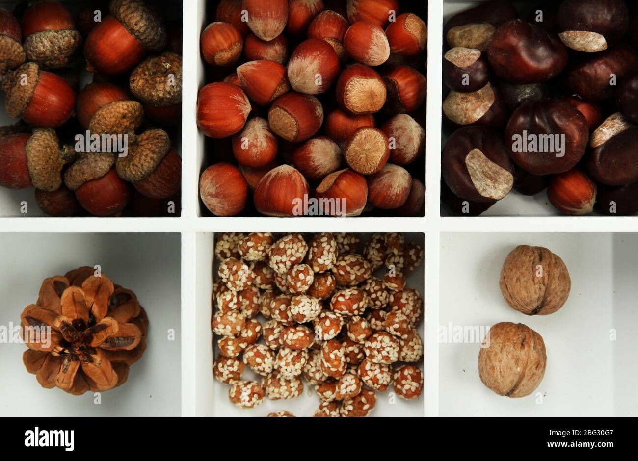 Assortment of nuts,chestnut, pinecone and acorn in white wooden box ...