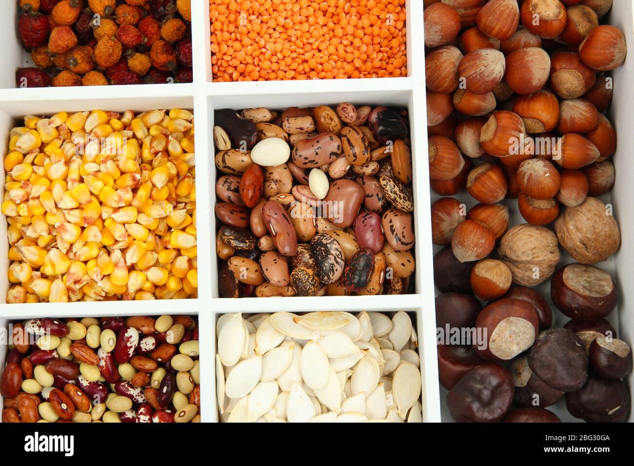 Assortment of chestnut,beans,dry briar, nuts etc in white wooden box ...