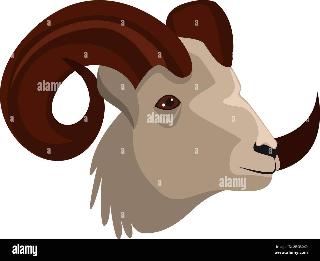 Ovis domestic Stock Vector Images - Alamy