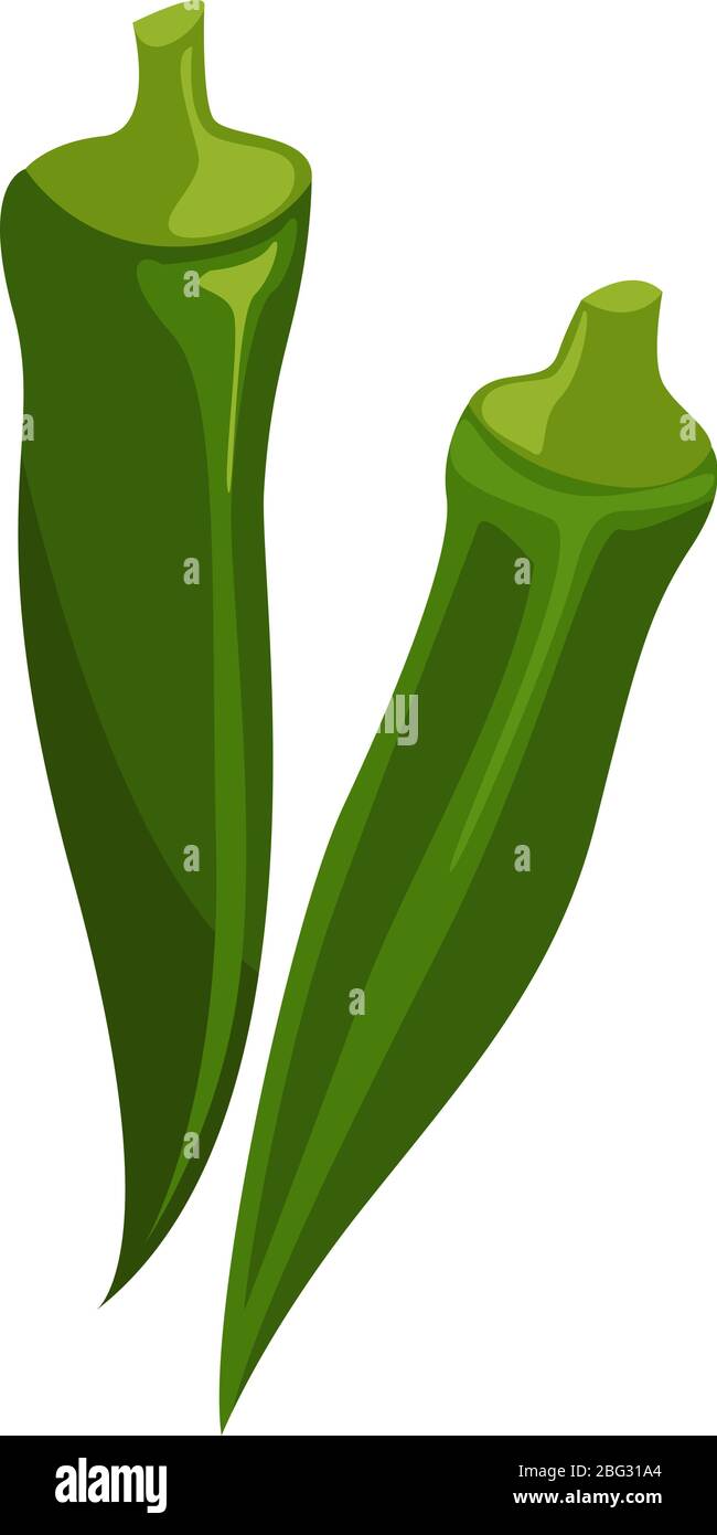Green okra, illustration, vector on white background Stock Vector Image ...