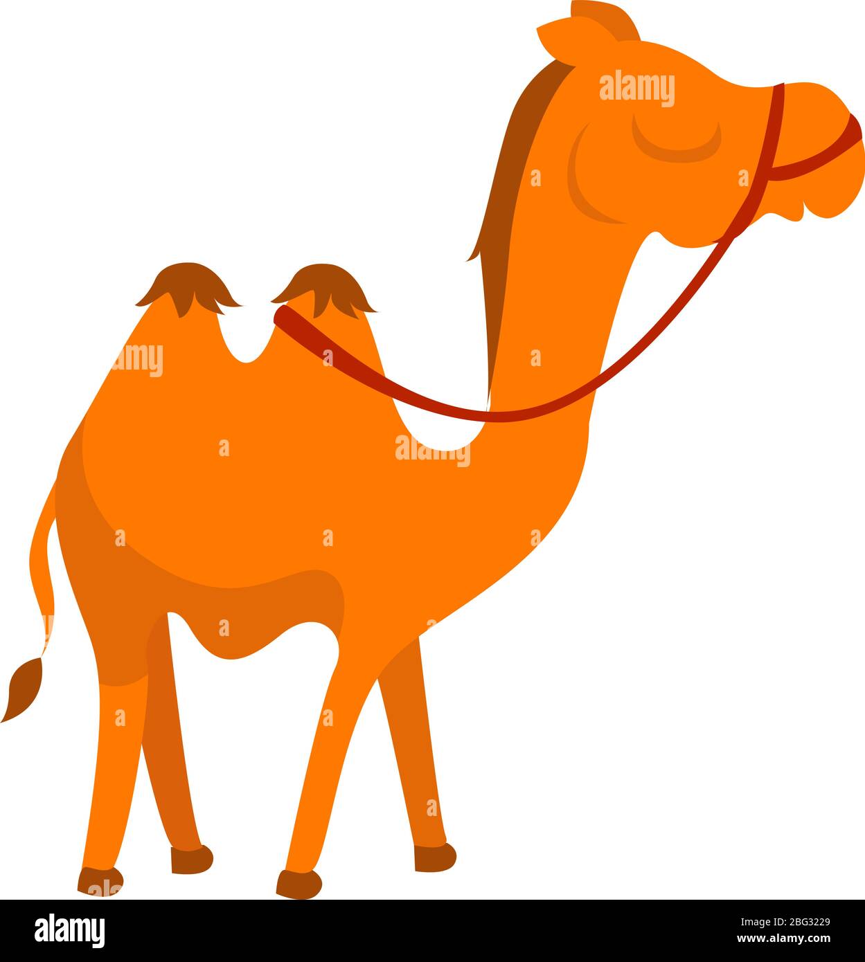 Two humped camel, illustration, vector on white background Stock Vector ...