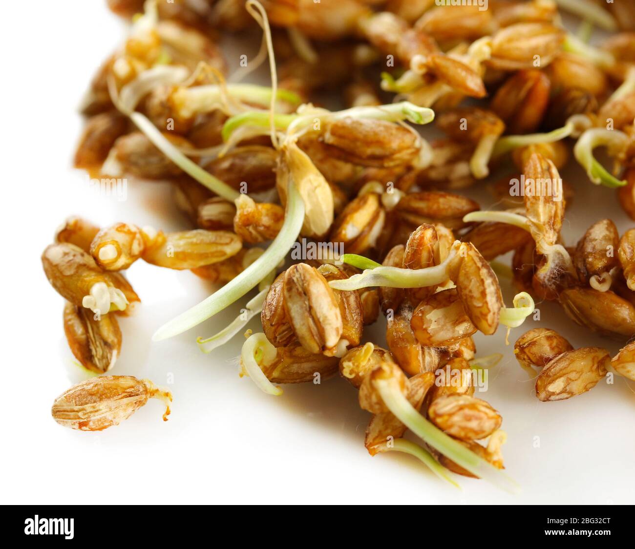 Wheat germs, close up Stock Photo - Alamy