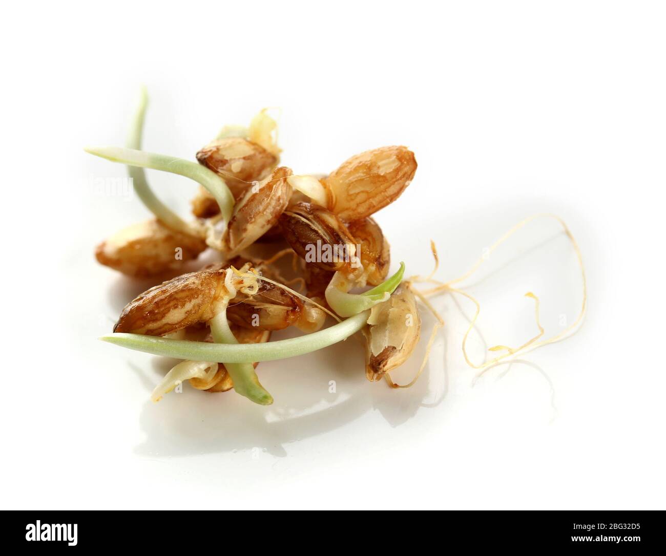 Wheat germs, isolated on white Stock Photo - Alamy