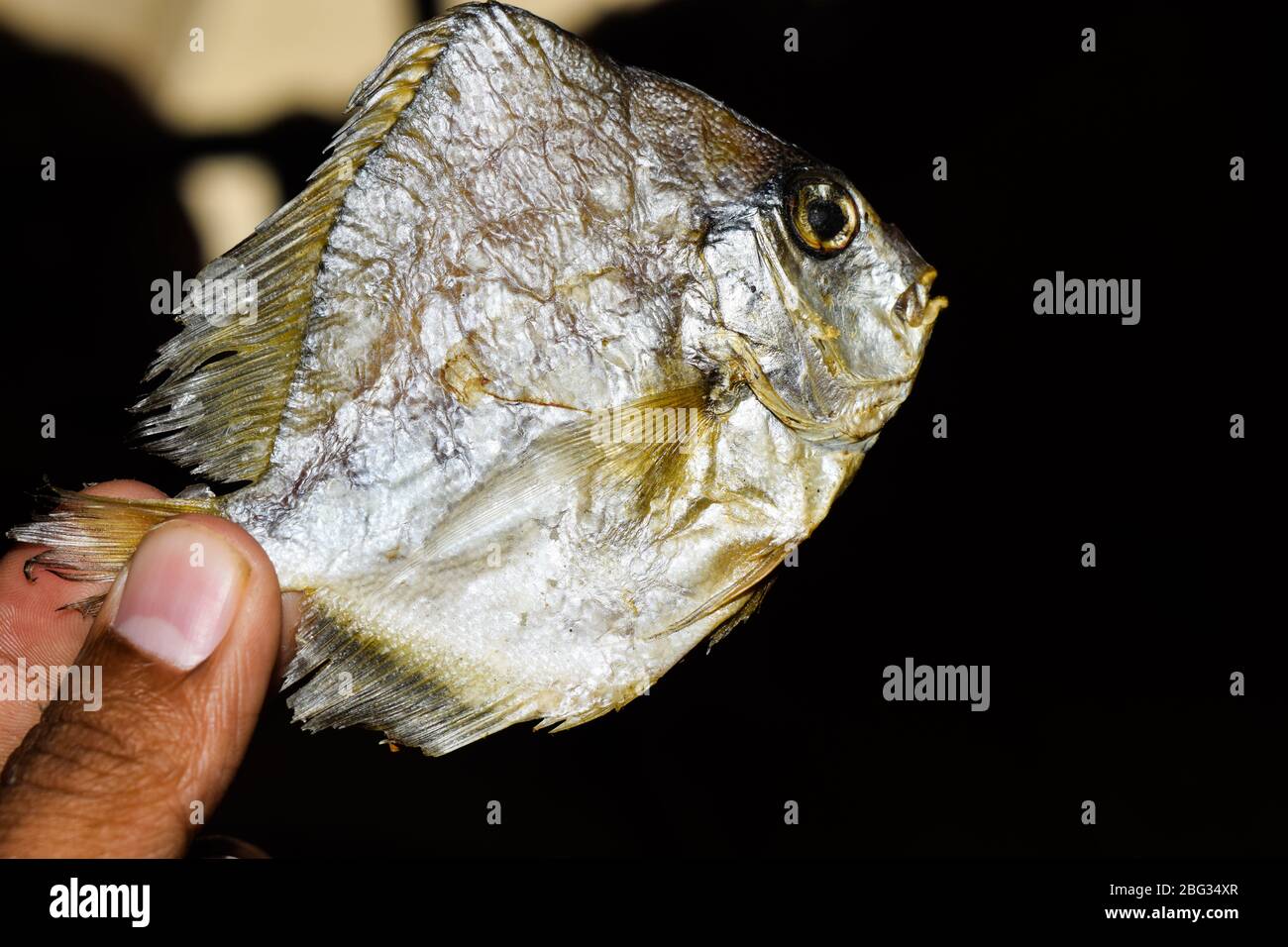 A person holding a fresh dry fish with his fingers in a dry fish ...