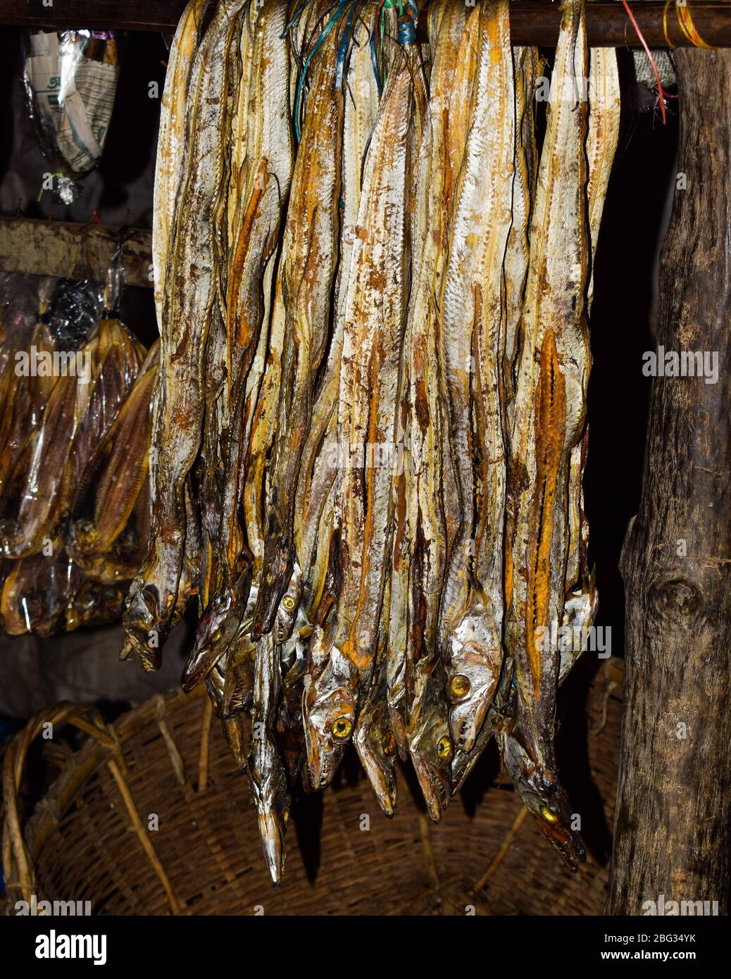 Fish fence hi-res stock photography and images - Alamy