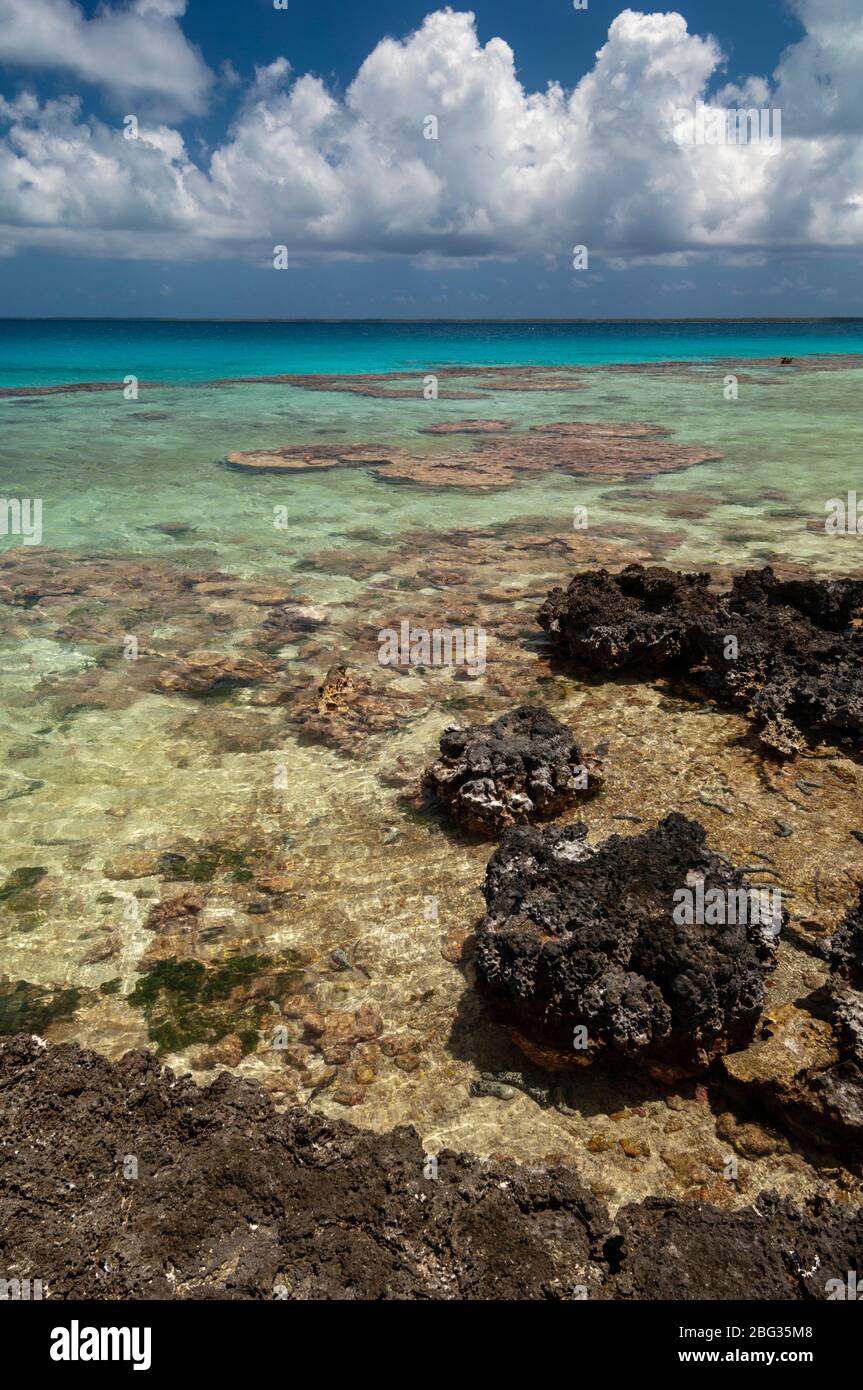 Bird island tikehau tuamotu hi-res stock photography and images - Alamy