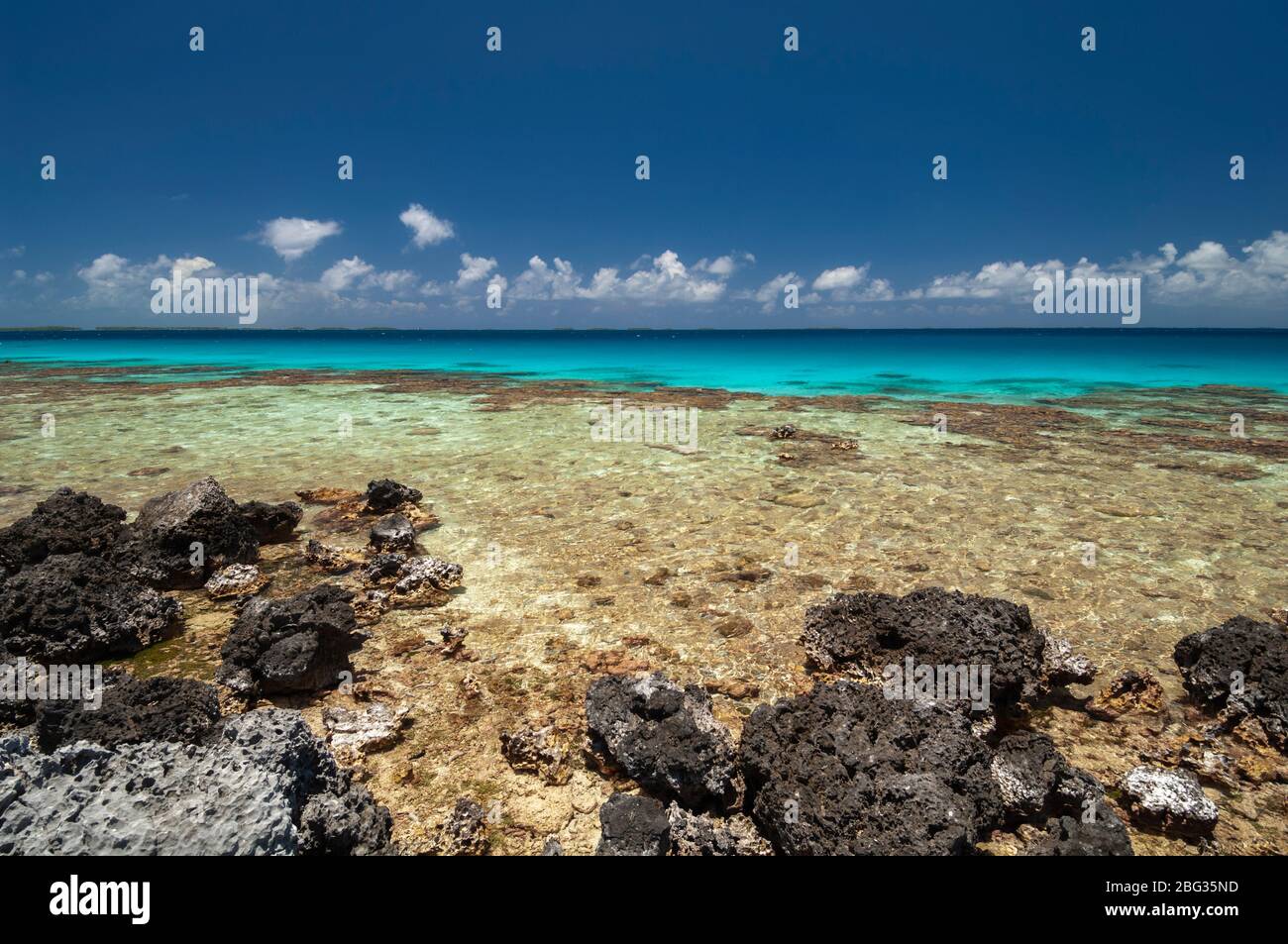 Bird island tikehau tuamotu hi-res stock photography and images - Alamy