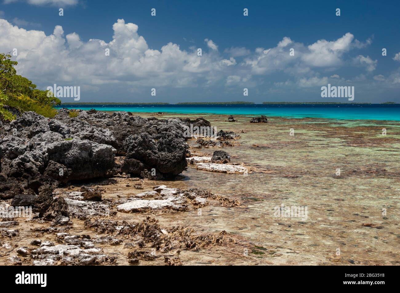 Bird Island, Tikehau, Tuamotu Archipelago, French Polynesia Stock Photo ...