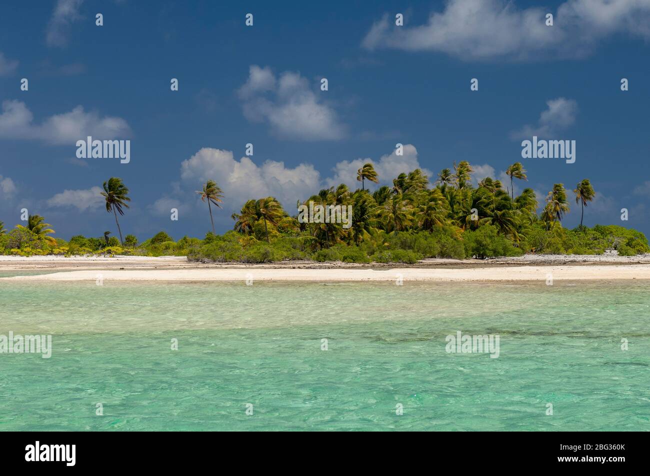 Tikehau, Tuamotu Archipelago, French Polynesia Stock Photo - Alamy