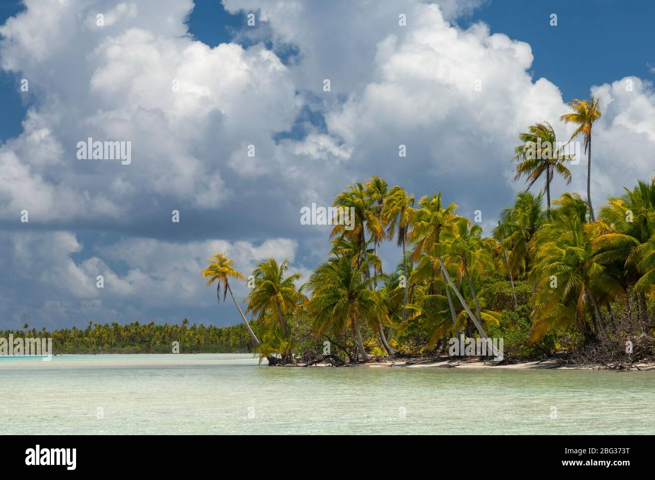 Blue Lagoon, Rangiroa, Tuamotu Archipelago, French Polynesia Stock ...